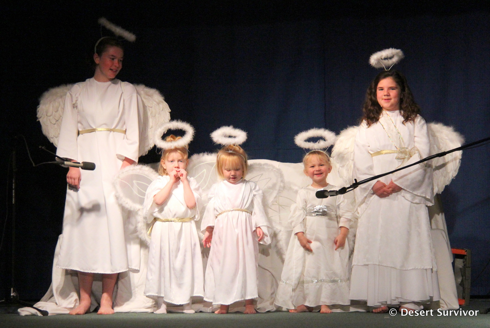 Desert Survivor: Christmas Nativity Play