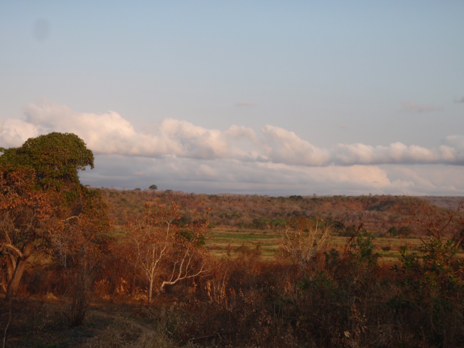 James In Tanzania: Views around Nyangao