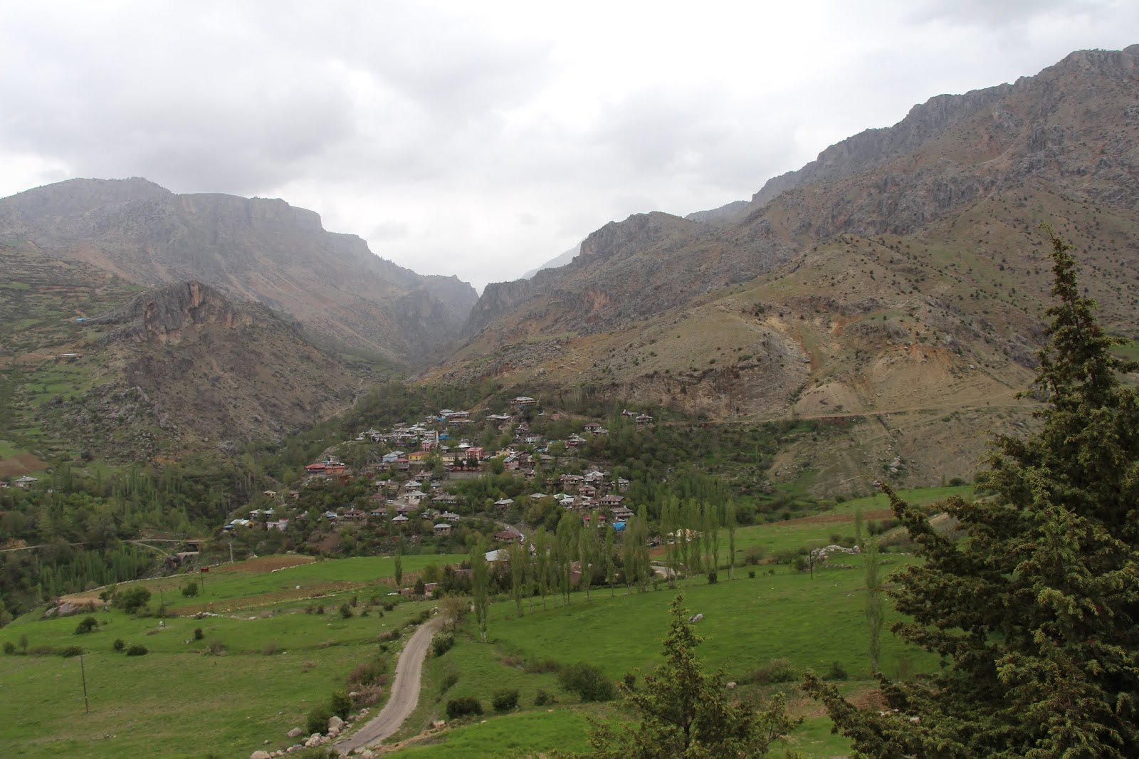 Survivor Objects and the Lost World of Ottoman Armenians