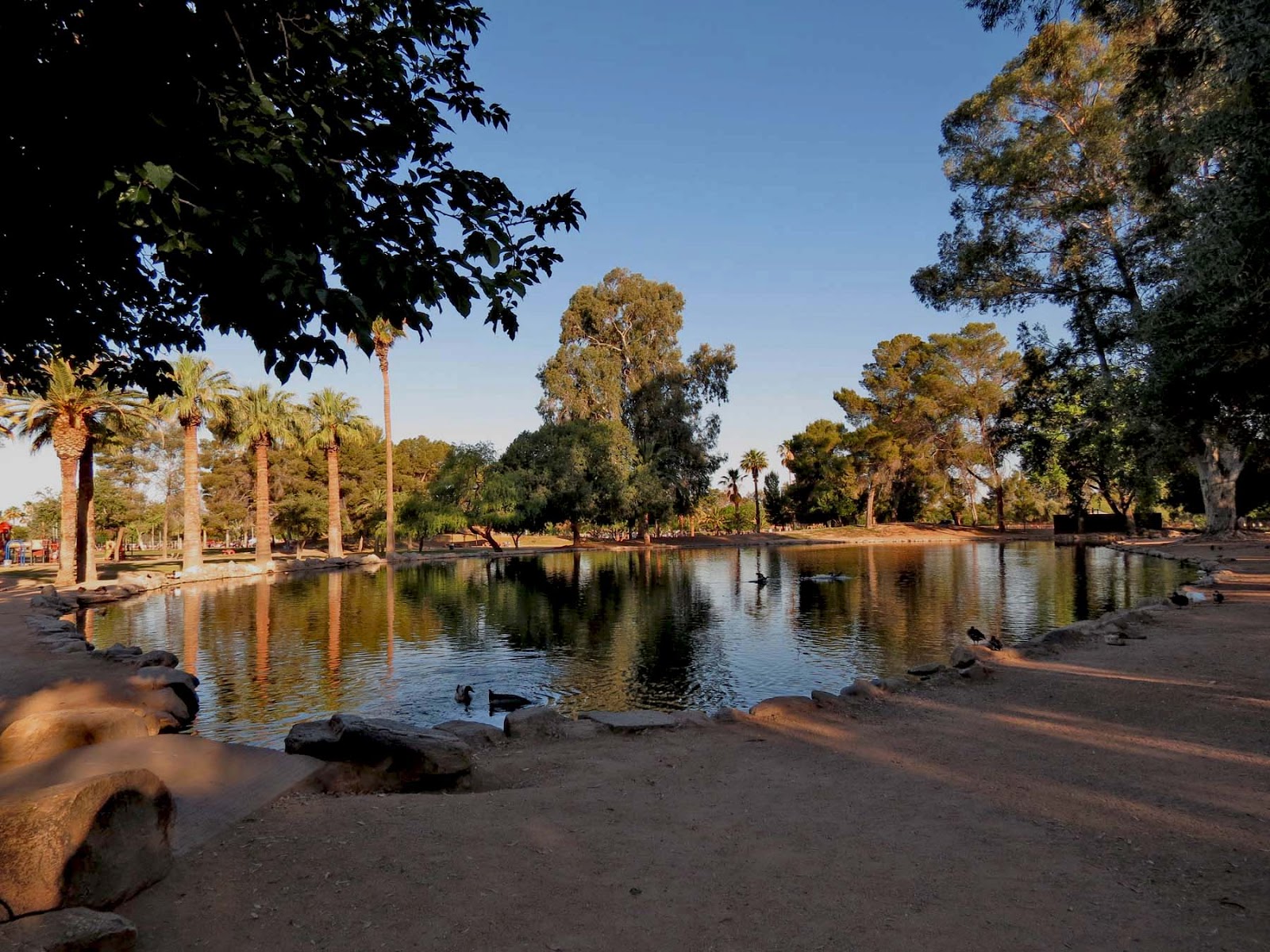 Desert Colors: At the Park