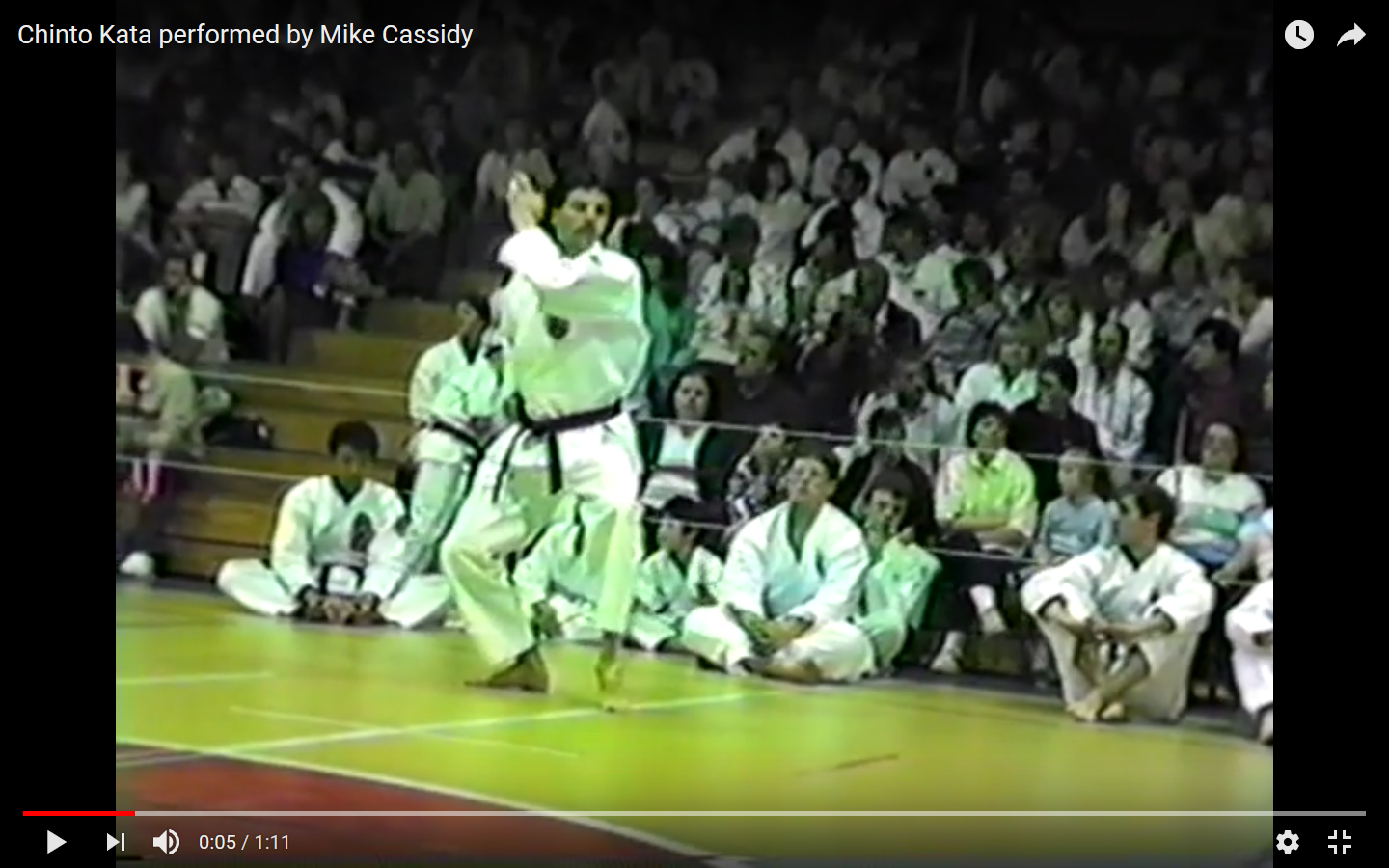 Isshin - Concentration the Art: Another possible Chinto Kata opening ...