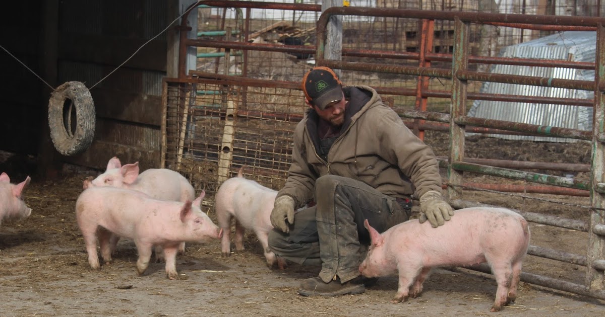 HoelscherFarms: Expanding the Hog Operation