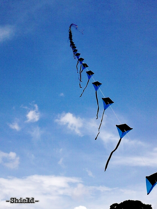 "Peel it. Feel it.": DCove Pasir Panjang Kites