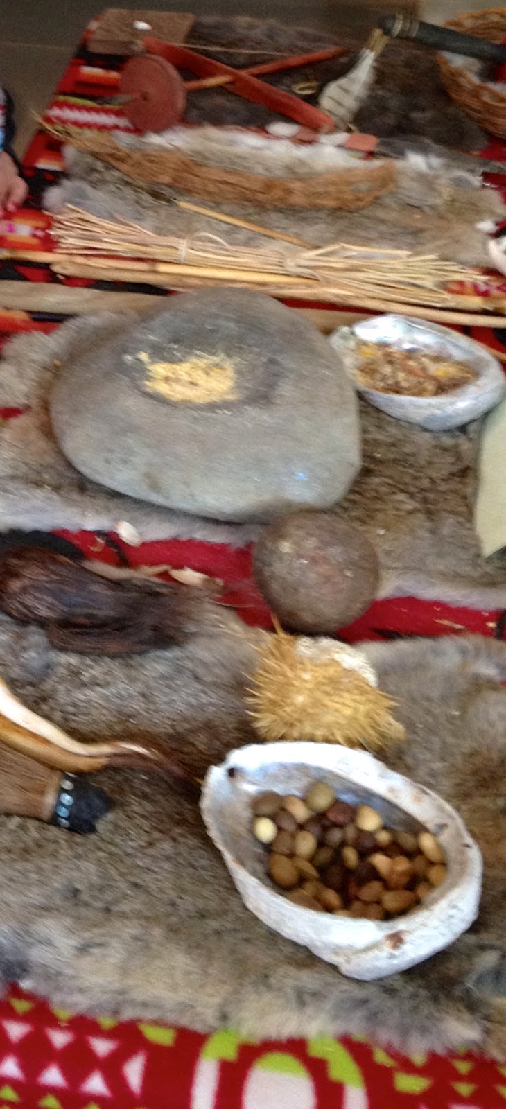 Ms. Tulbure's Classroom Blog: Exciting Chumash Adventures