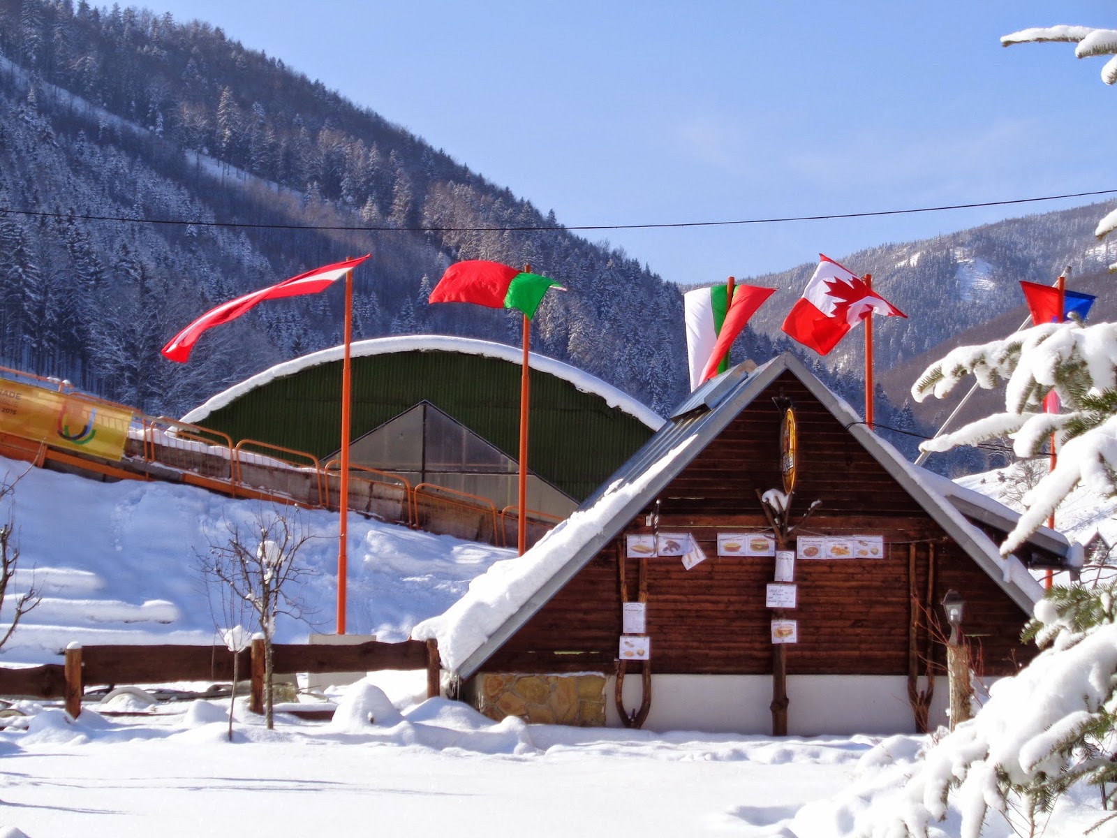 Matthew Strum - Biathlete, Cross Country Ski Racer