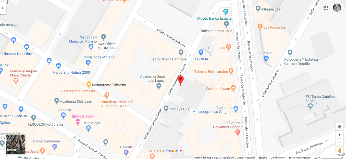 Francisco Martín Pinzón Vicente (1445 - 1502)