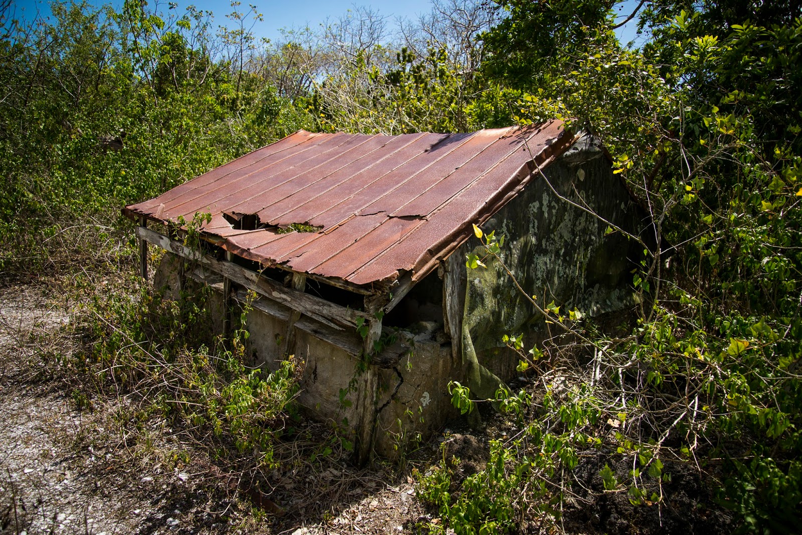 Florida Gunkholer: Dismal Key: One Very Different Island Among Ten Thousand