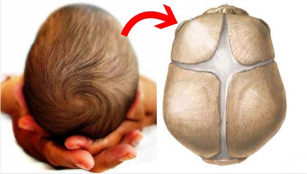 O que é Moleira? Quando ela fecha e quais são os cuidados? | Enfermagem