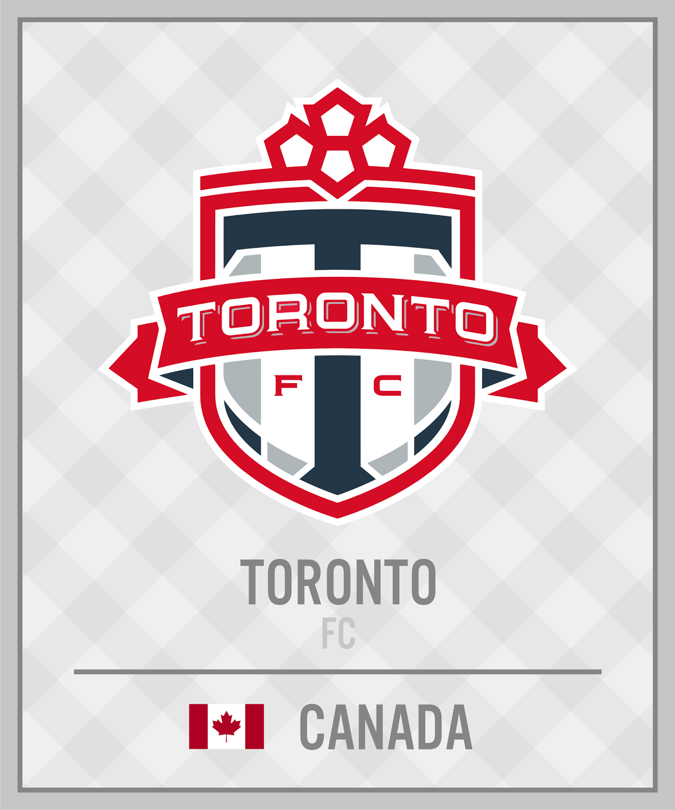 Willian Kit: Toronto FC - 2013/14 Delfim Fantasy Kits