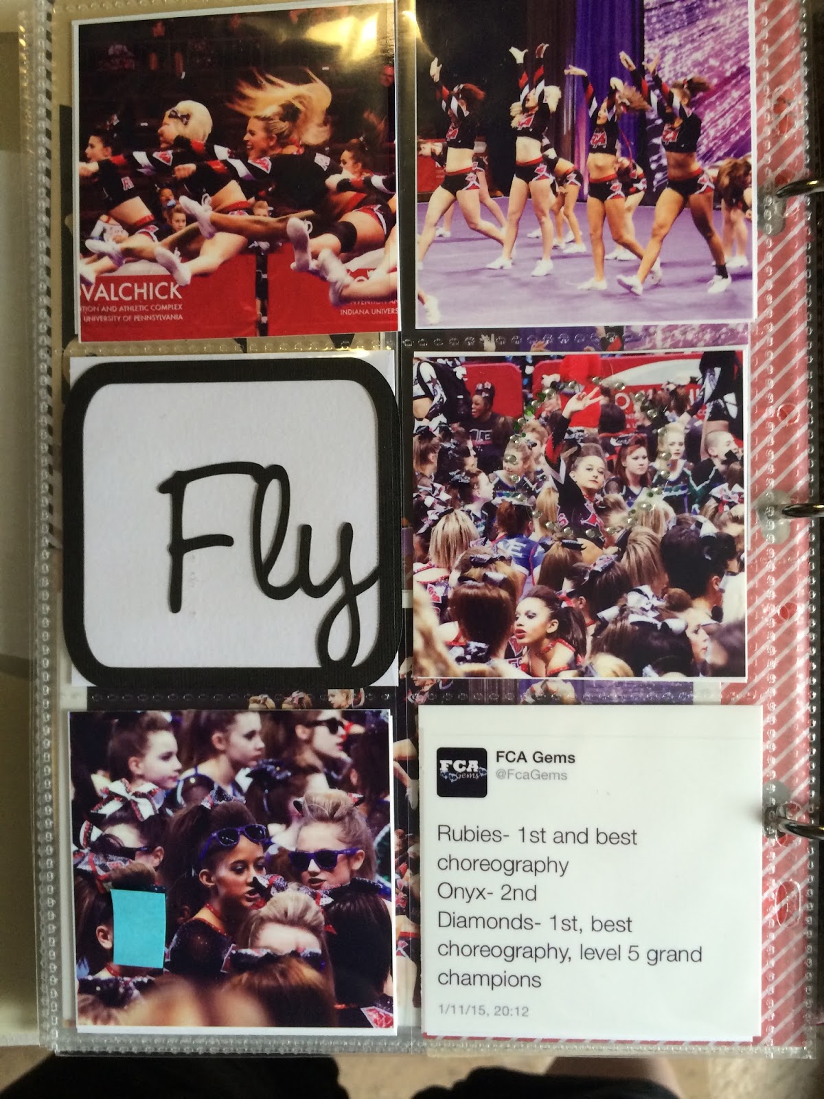 Craft Zoo: Cheer Book 2 of 3 posts