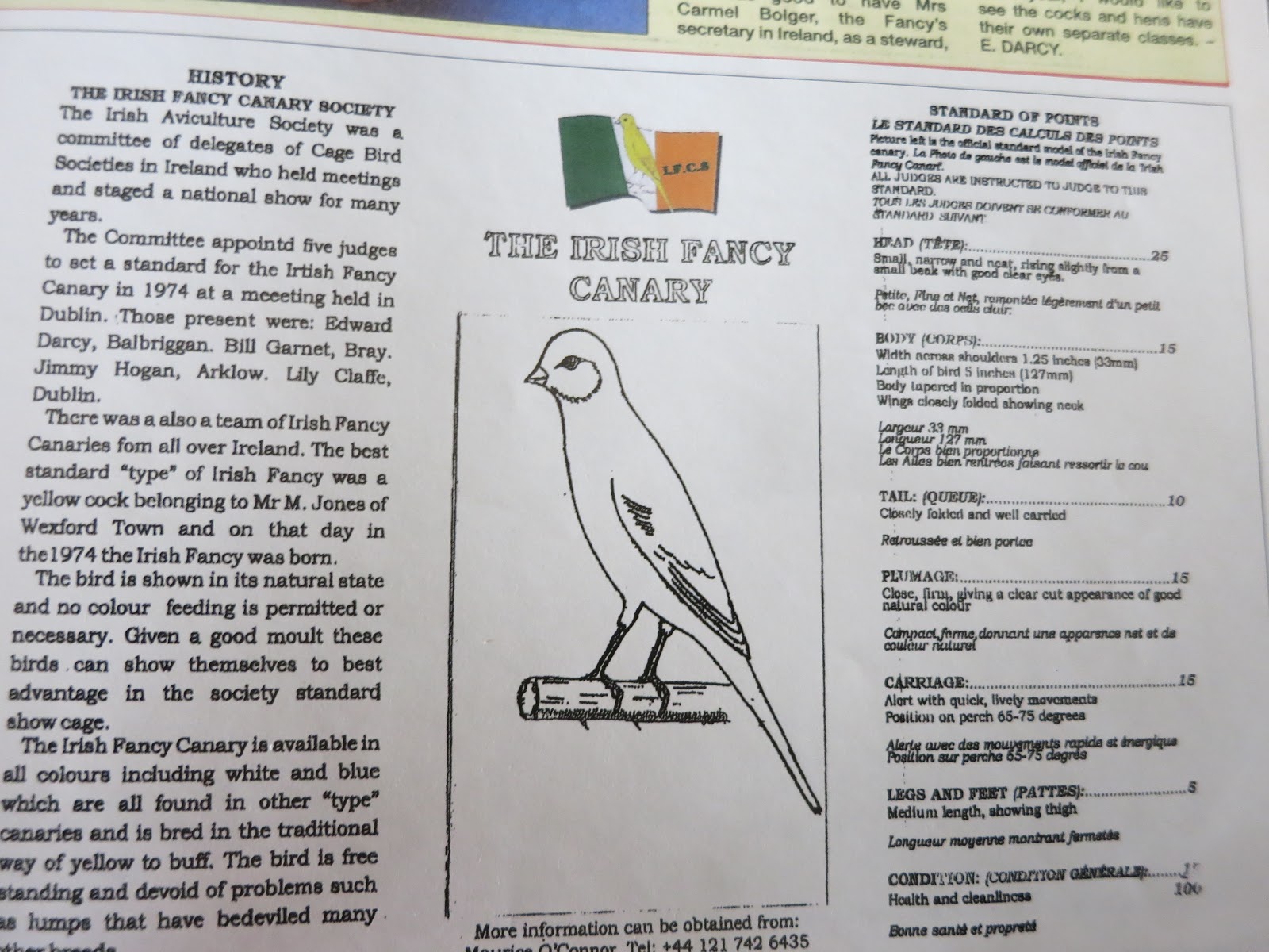 Canary Tales: Catching Up On My Reading - Irish Fancy