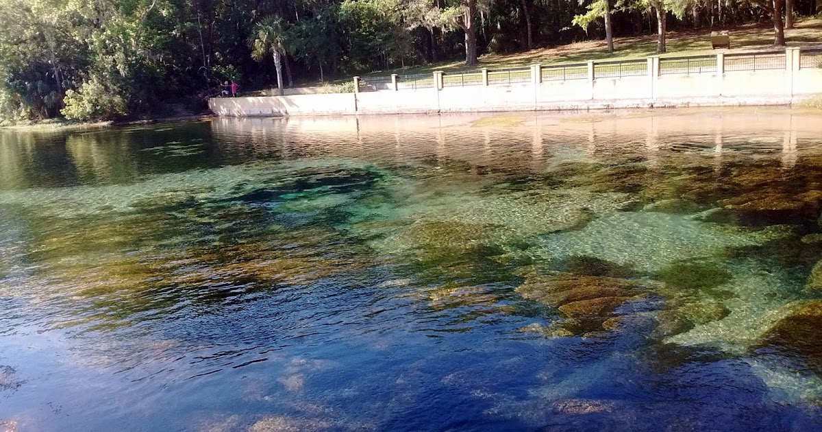 Things I Never Learned From My Mom: Exploring Florida - Salt Springs ...