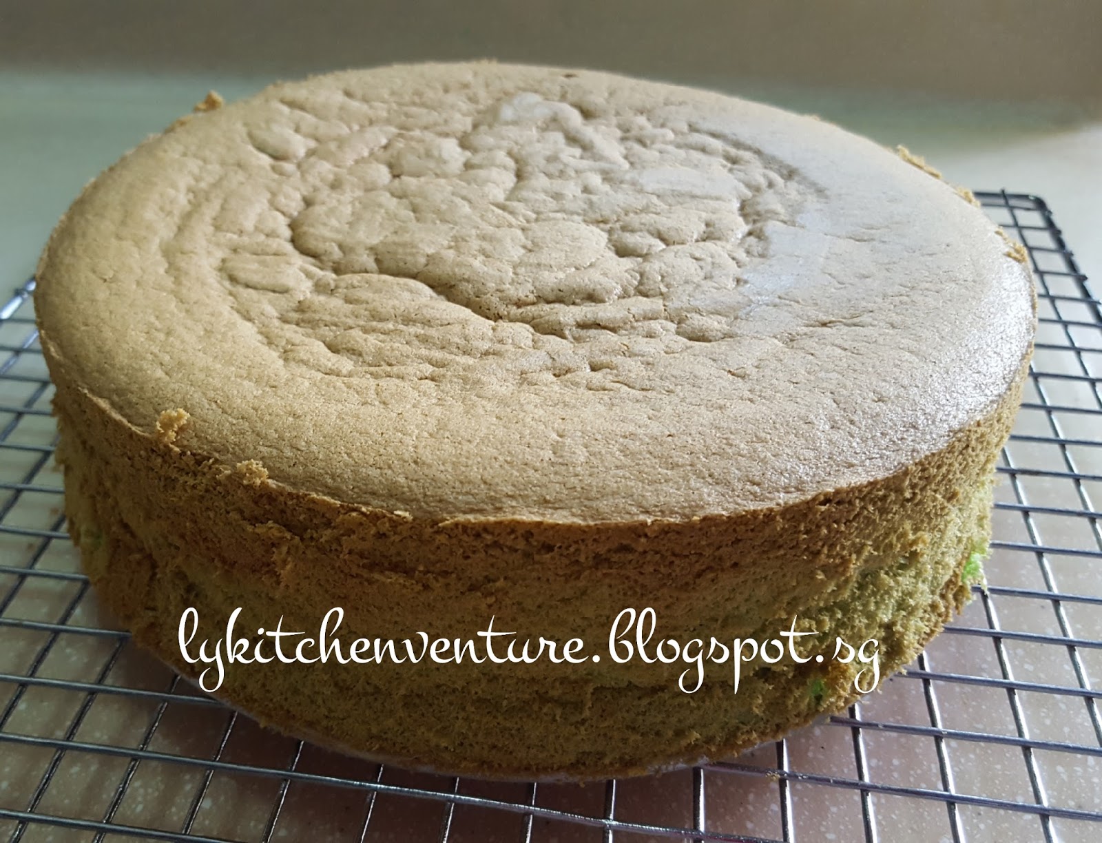 LY's Kitchen Ventures: Pandan Sponge Cake (Cooked Dough Method)