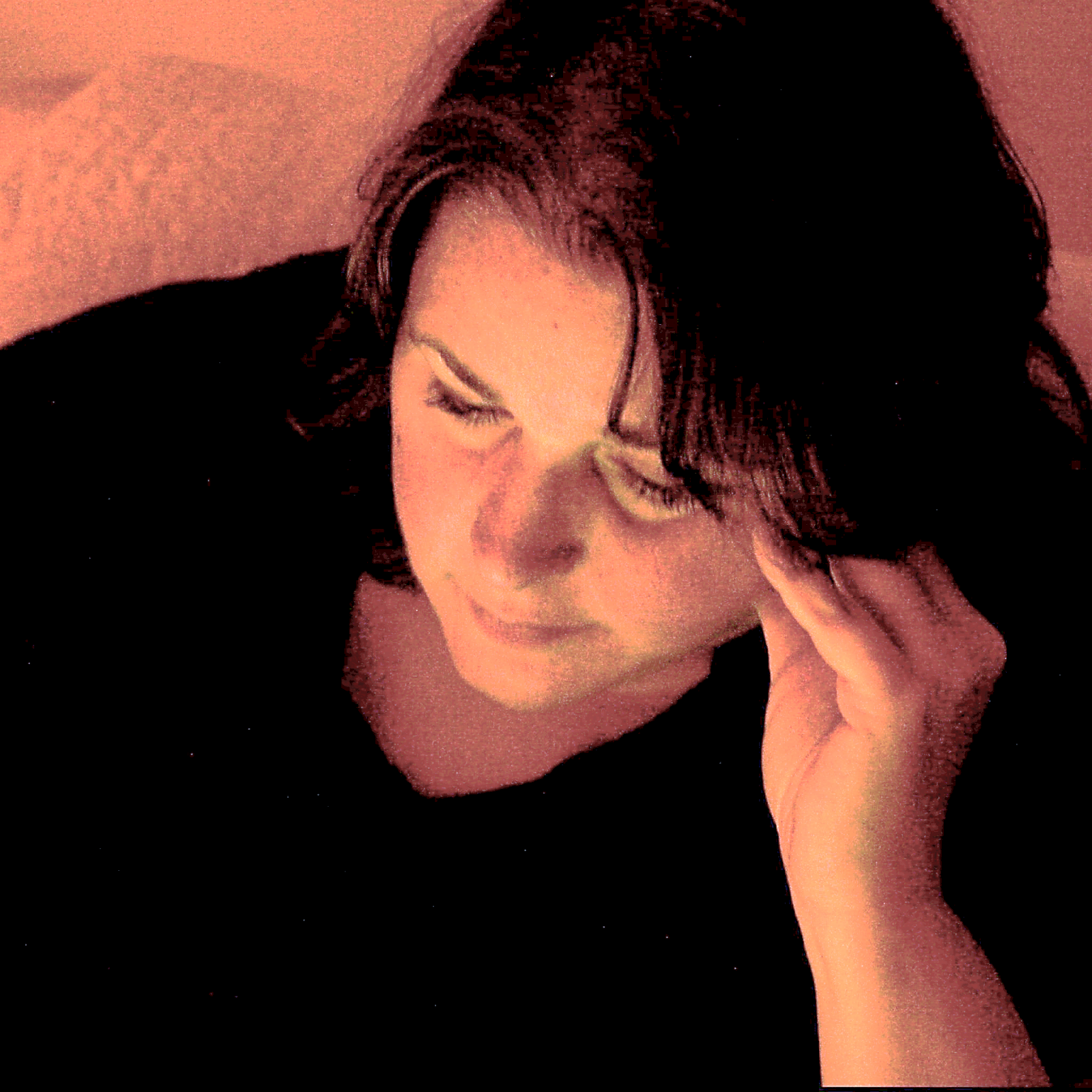 THE DEMANDING GENEALOGIST: NERGC 2017 Premieres Society Management Day ...