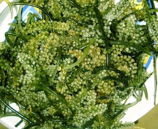 Living with Nature - School on Blog by Dr. Abercio V. Rotor: Simple ...