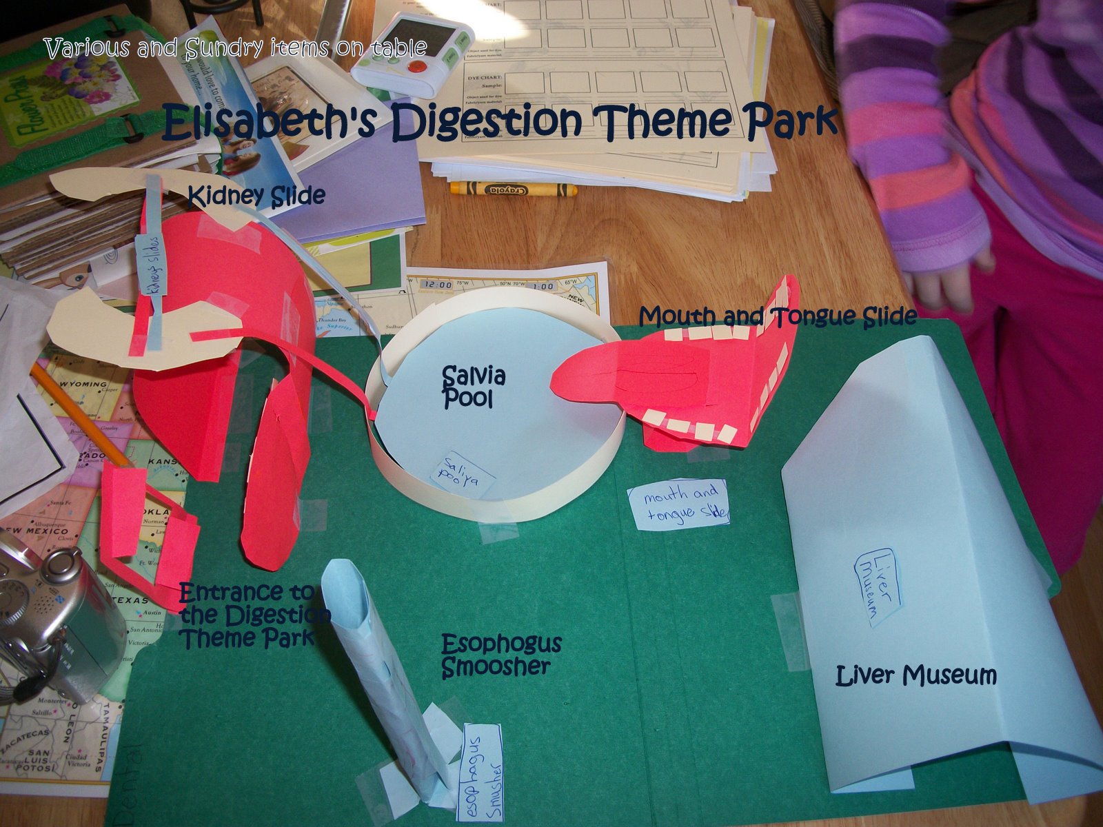 At Home on the Last Frontier: Digestion Theme Park--Not Your Typical ...