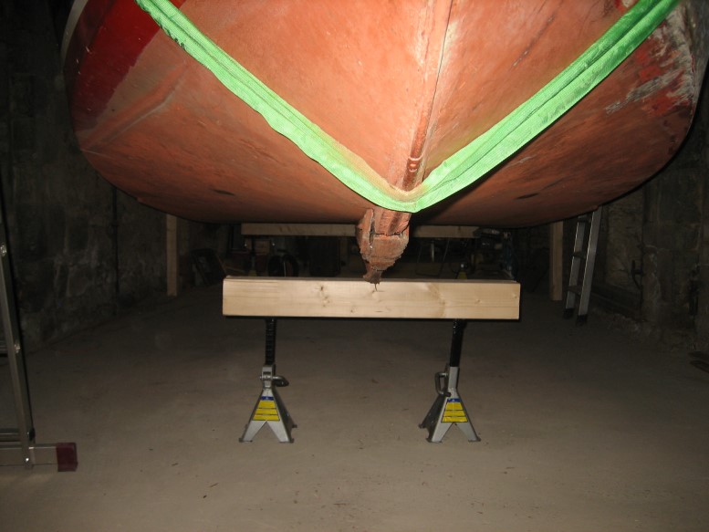 August 2012 | Lily - back to life!