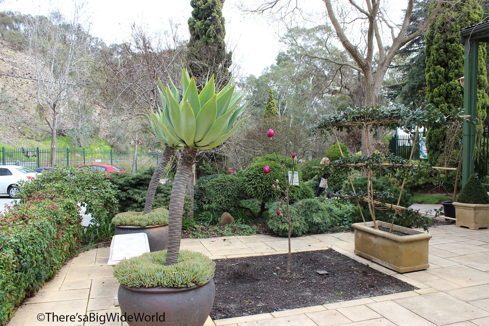 The Topiary Cafe, Tea Tree Gully