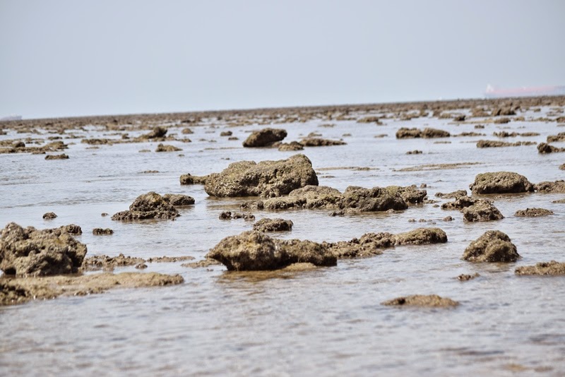 Narara Island : View Photos