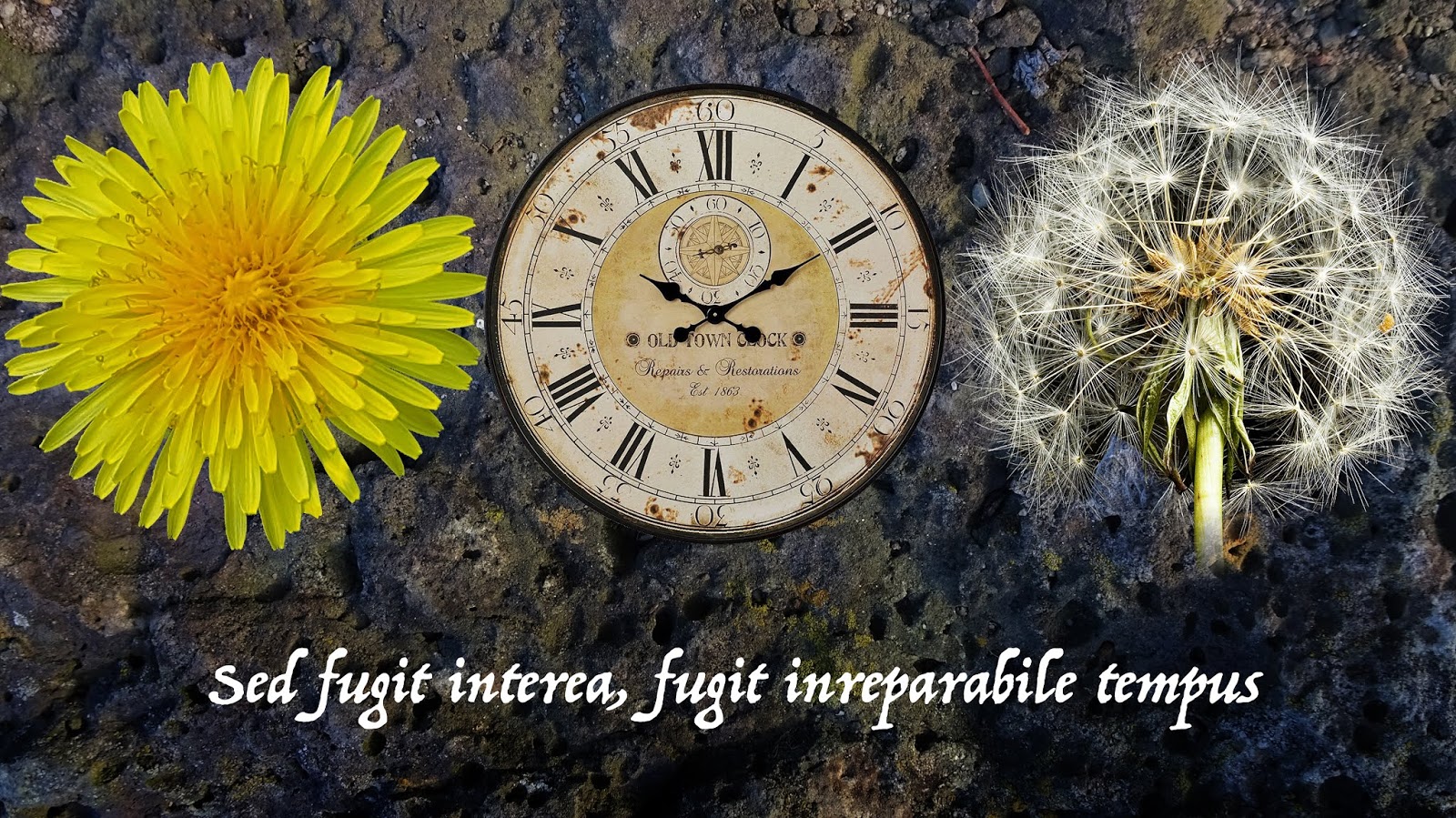 NixPages: TEMPUS FUGIT