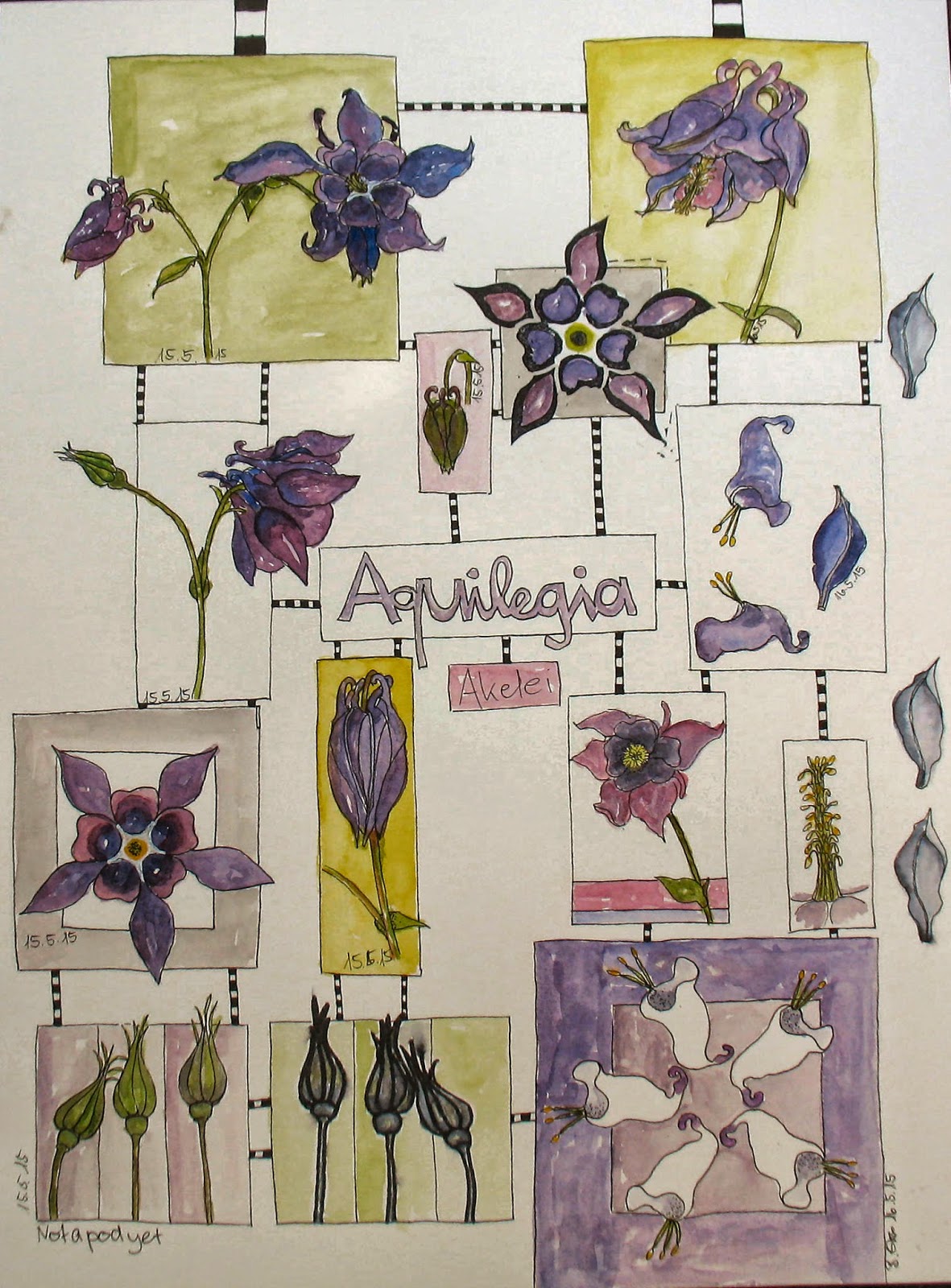 Getting Older: Number 14 - bling, bling