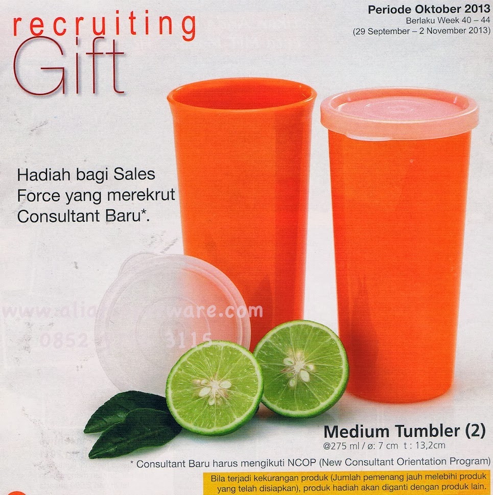 activity | Aliatupperware