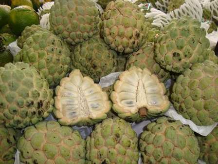 Ivoneide Lopes: Os benefícios da pinha (fruta do conde)