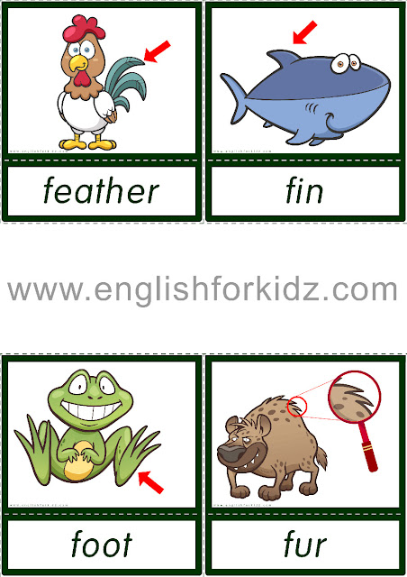 Reading Comprehension Kit. Animal Passages. Grades 1-3