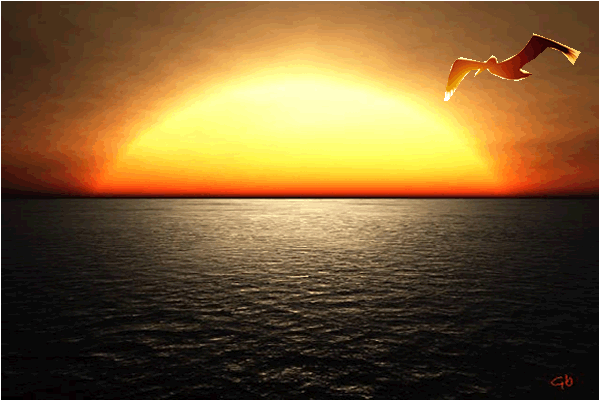 Gif de playas animadas - Imagui