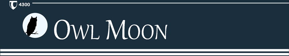 Owl Moon: The rudder post gets a proper Jefa gaiter