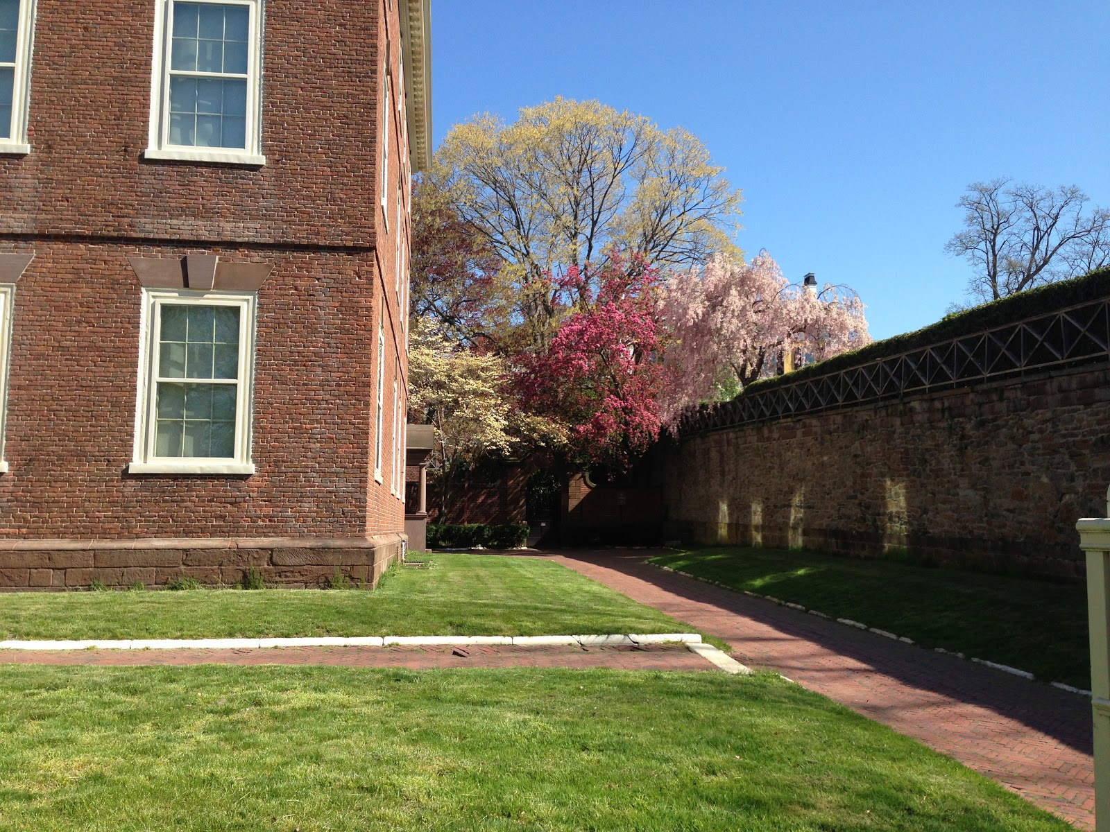 Taylor M. Polites: May Flowers