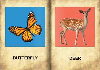 January 2018 | ENGLISH LANGUAGE RESOURCES FOR ENGLISH YOUNG LEARNERS ...