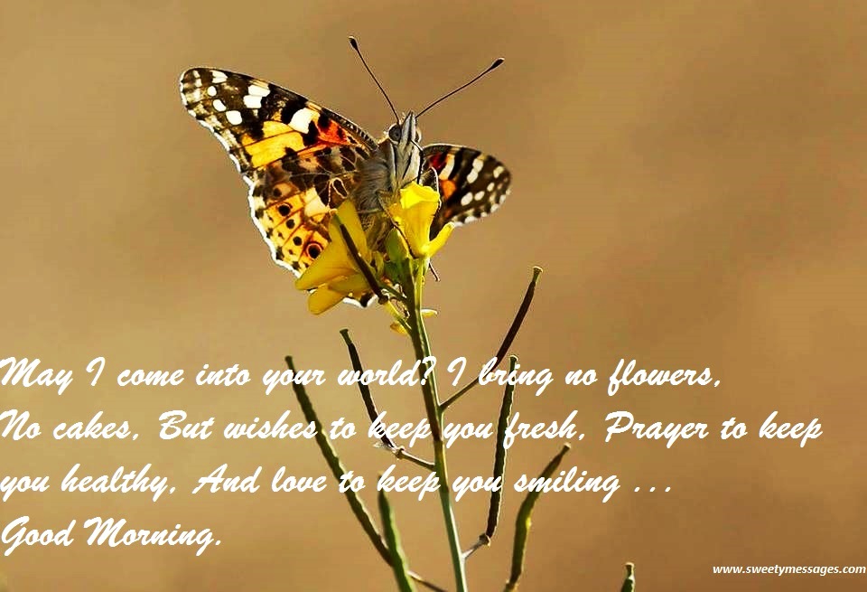 Sweet Good Morning Text Messages | Beautiful Messages