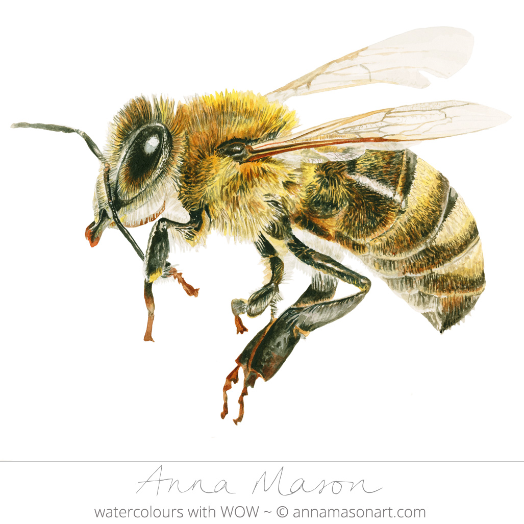 Görsel Sanatlar Deposu / Fine Arts Archive: Anna Mason