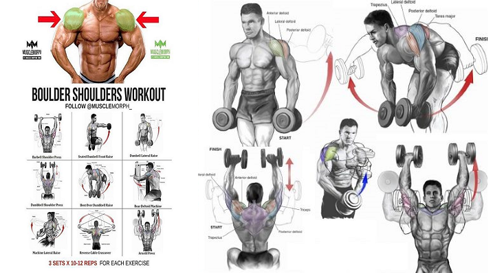 The Most Effective Shoulder Dumbbell Exercises