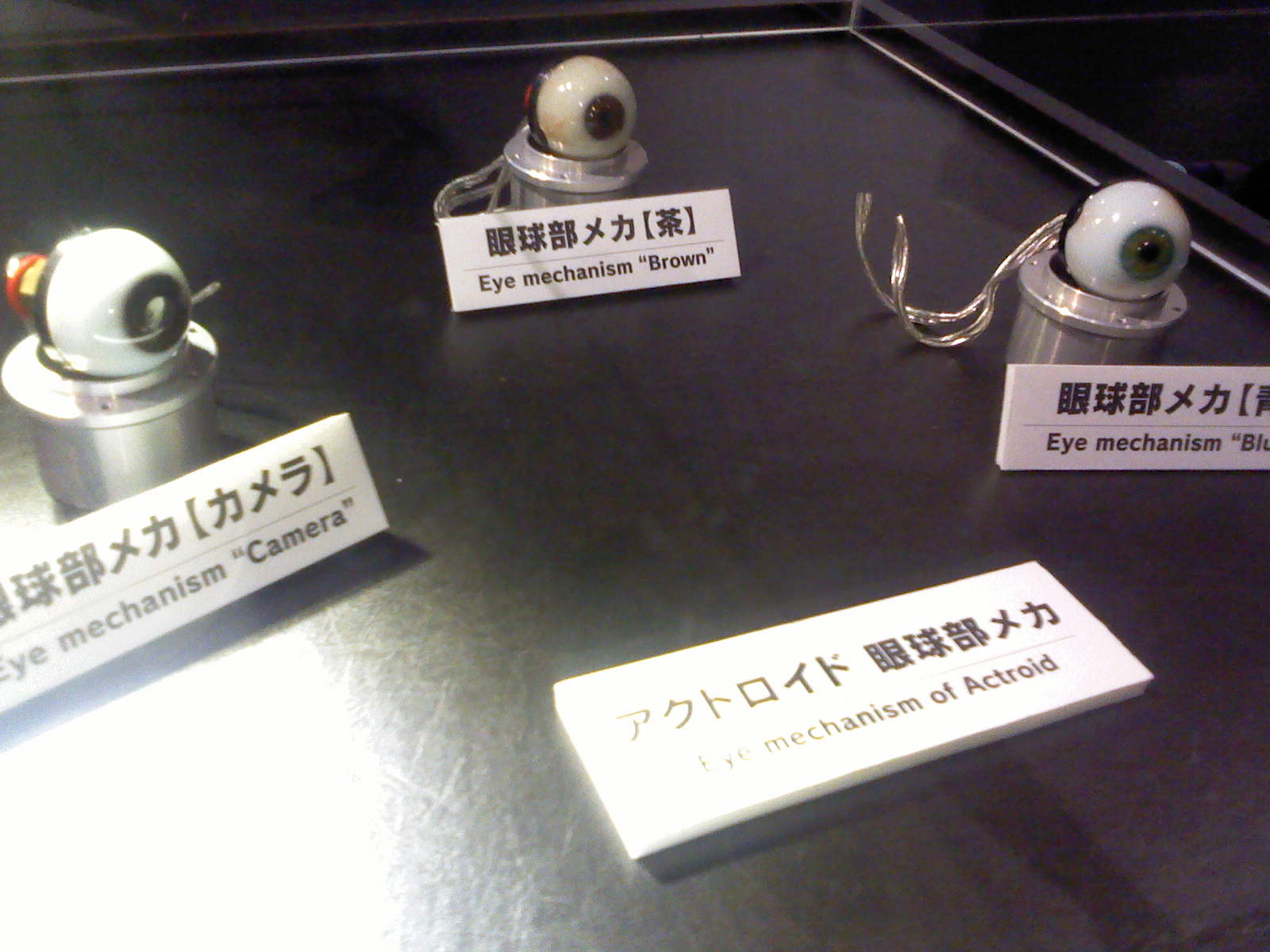 Iva Lusya: Actroid :)