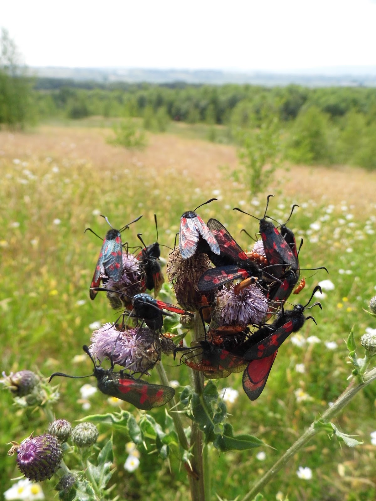 All Our Stories- 'Fallin Bing- from Coalfield to Brownfield!'