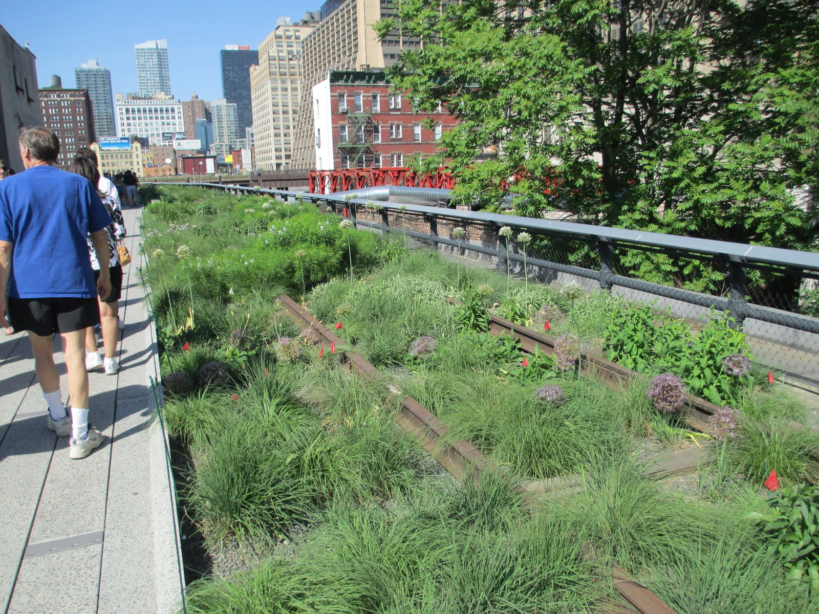 Garden2Grow: Garden Travels: High Line Gardens