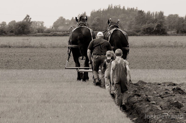 Fish Report: Plowing a Straight Furrow - Dave’s Midwestern Ohio Memories