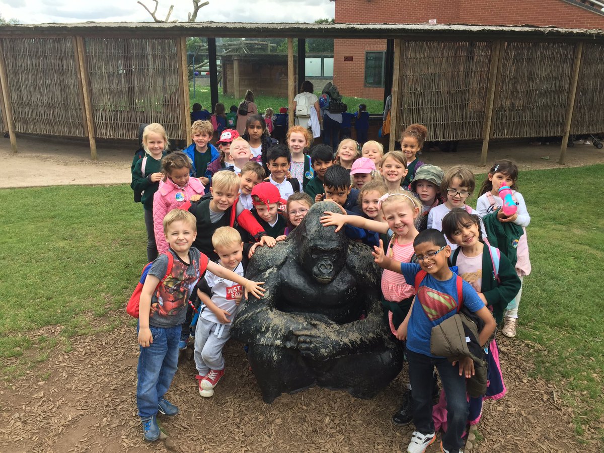 The Silverhill Blog: Year 1 at the Zoo