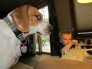 Projects at the Pickett's: Great Eye-dea