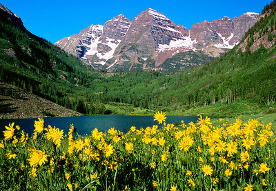 Critter Sitter's Blog: Springtime in Colorado - Photos