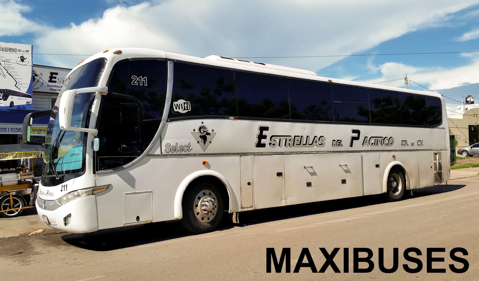 MAXIBUSES: AUTOBUSES ESTRELLAS DEL PACÍFICO