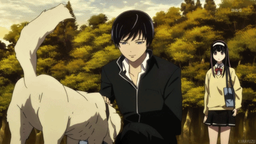 shinokami´s blog otaku: primeras recomendaciones.