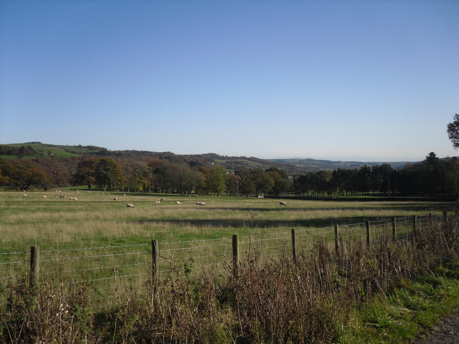 Rambling Nana: Wolsingham, Tunstall Reservoir Circular