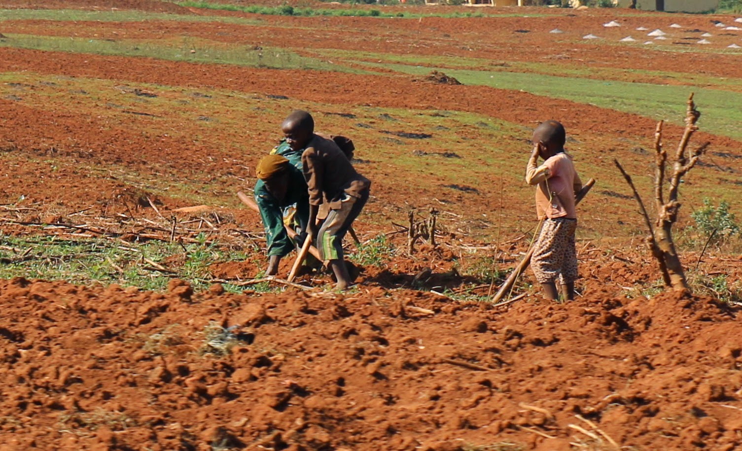 Balenga's Burundi Mission: Twisted Ironies of Life in Africa