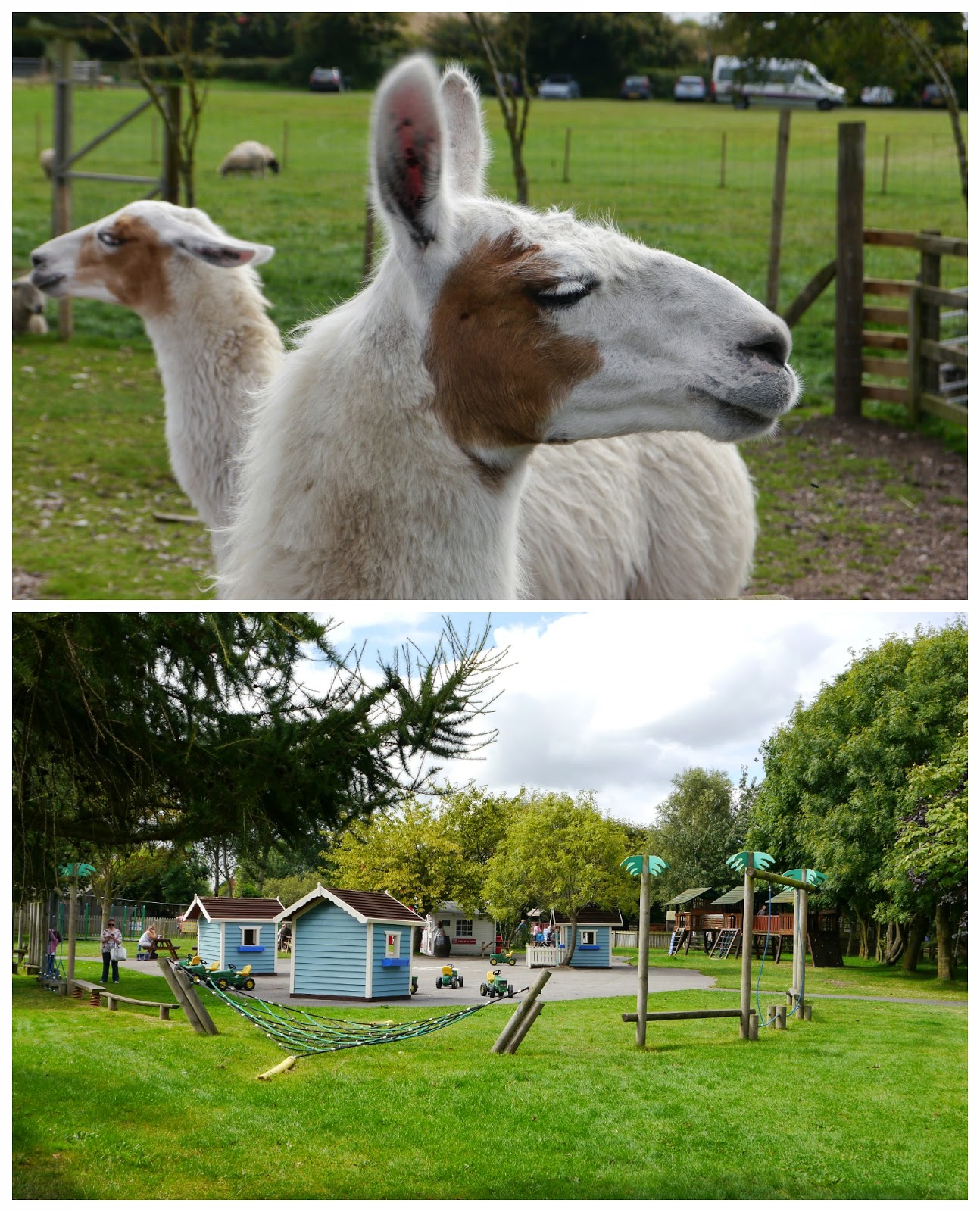 The Mummy Diary: A Visit to White Post Farm