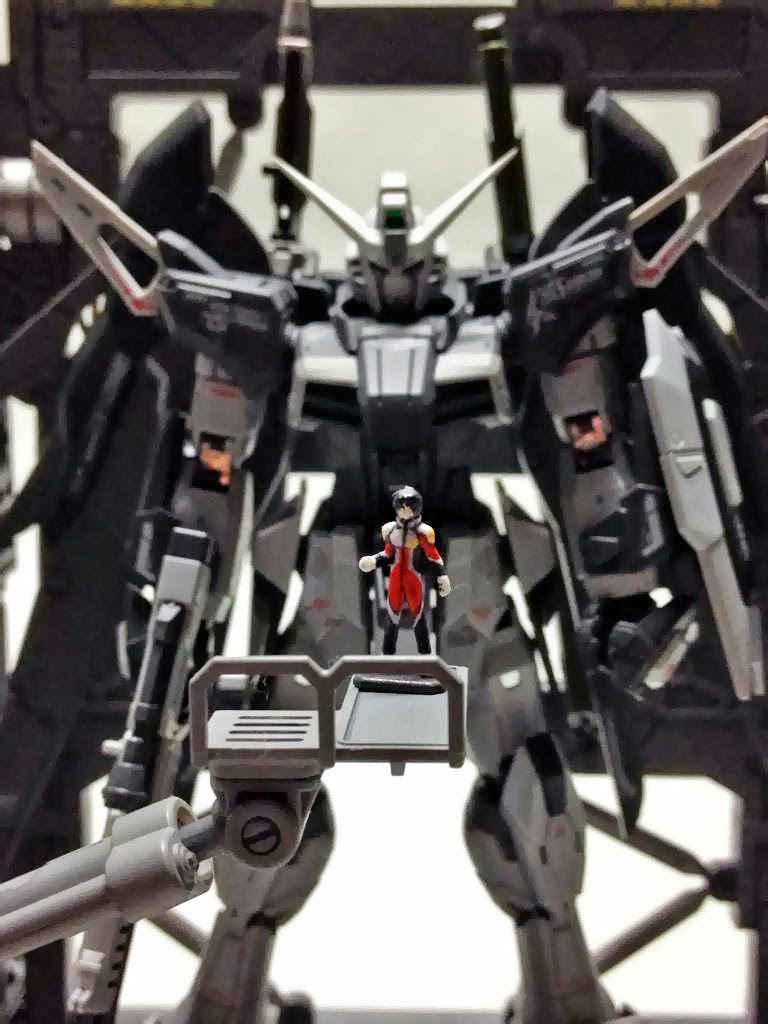 GUNDAM GUY: P-Bandai Hobby Online Shop Exclusive: RG 1/144 Destiny ...