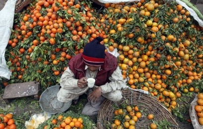 Pakistani fruit stalls ~ All About Pakistan