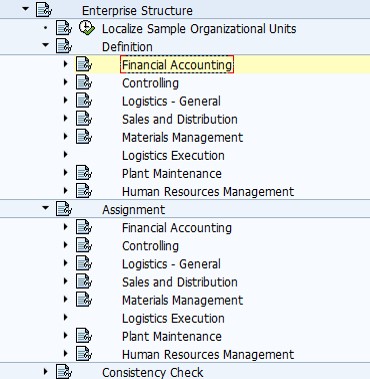 SAP FICO Central: Financial Enterprise Structure